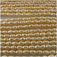 Wholesale Fresh Water Pearl Beads